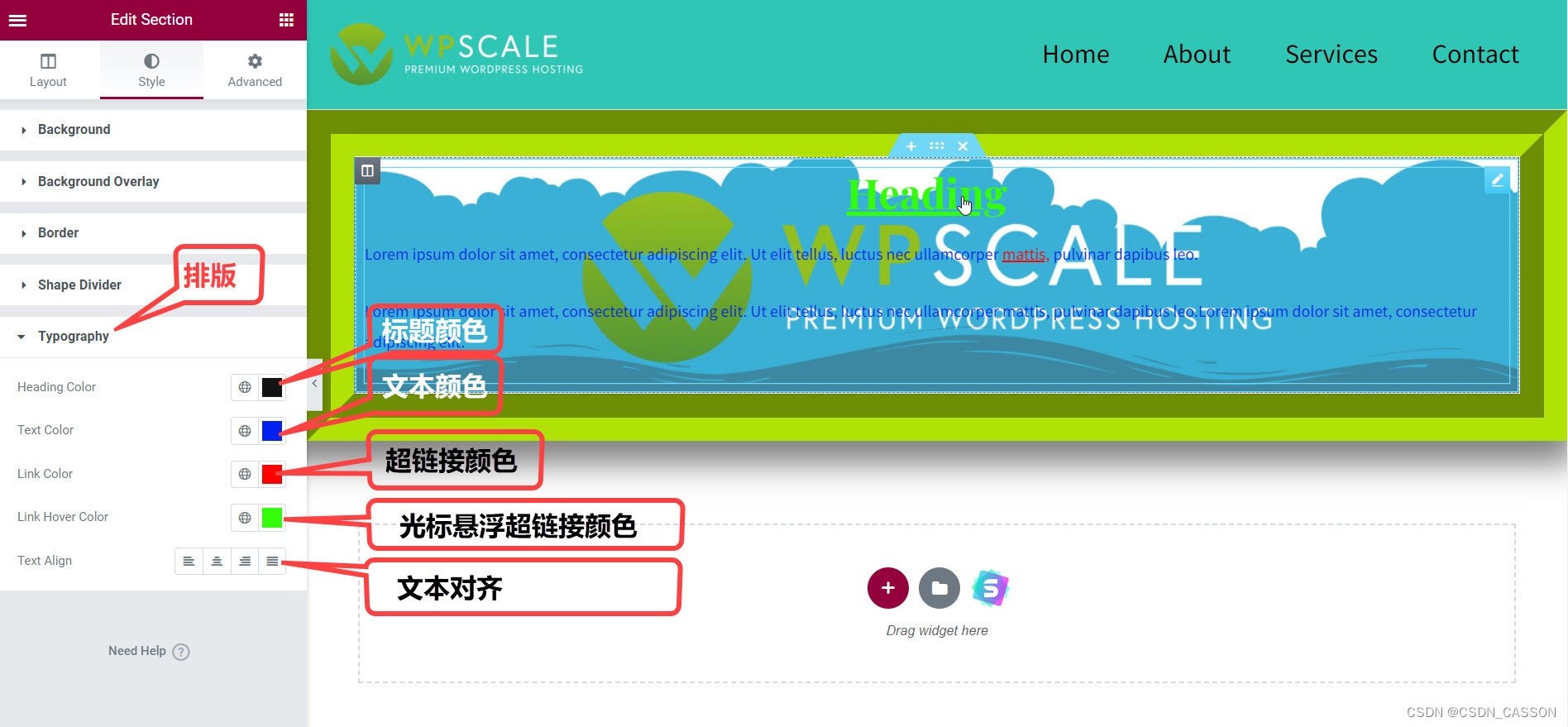 WordPress页面编辑器插件--Elementor_wordpress elementor_CSDN_CASSON的博客-CSDN博客