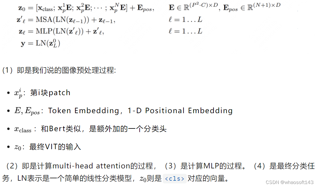 VIT~~6_vit模型的输入可以是文本吗-CSDN博客
