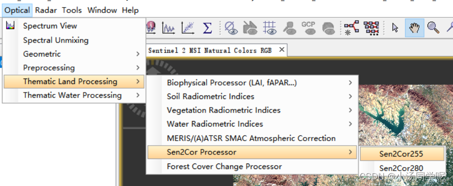 SNAP大气校正插件：Before executing the tool,please correct the errors below：Path does not exist:_snap安装 ...