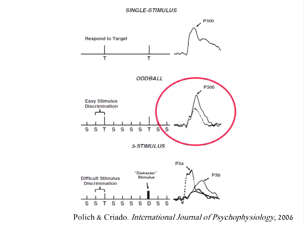 脑电实验设计的原理与实例-EEG Processing and Feature 4-CSDN博客