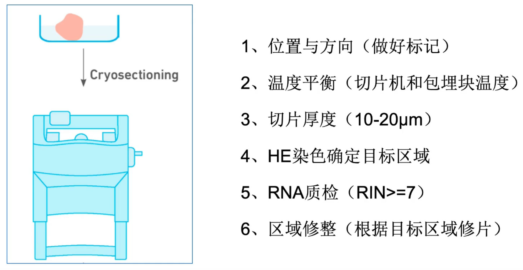 10X 空间转录组学_10x空间转录组-CSDN博客