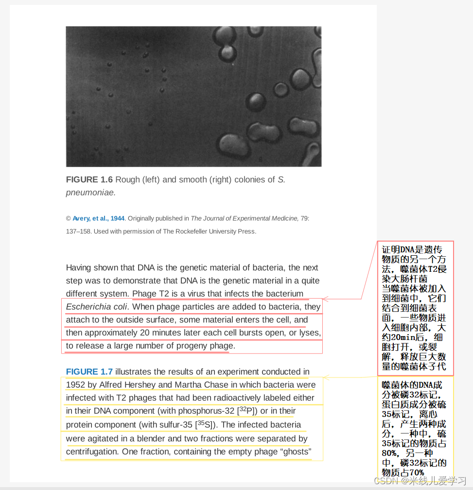 Gene Xii 学习笔记 12基因xii Pdf Csdn博客 