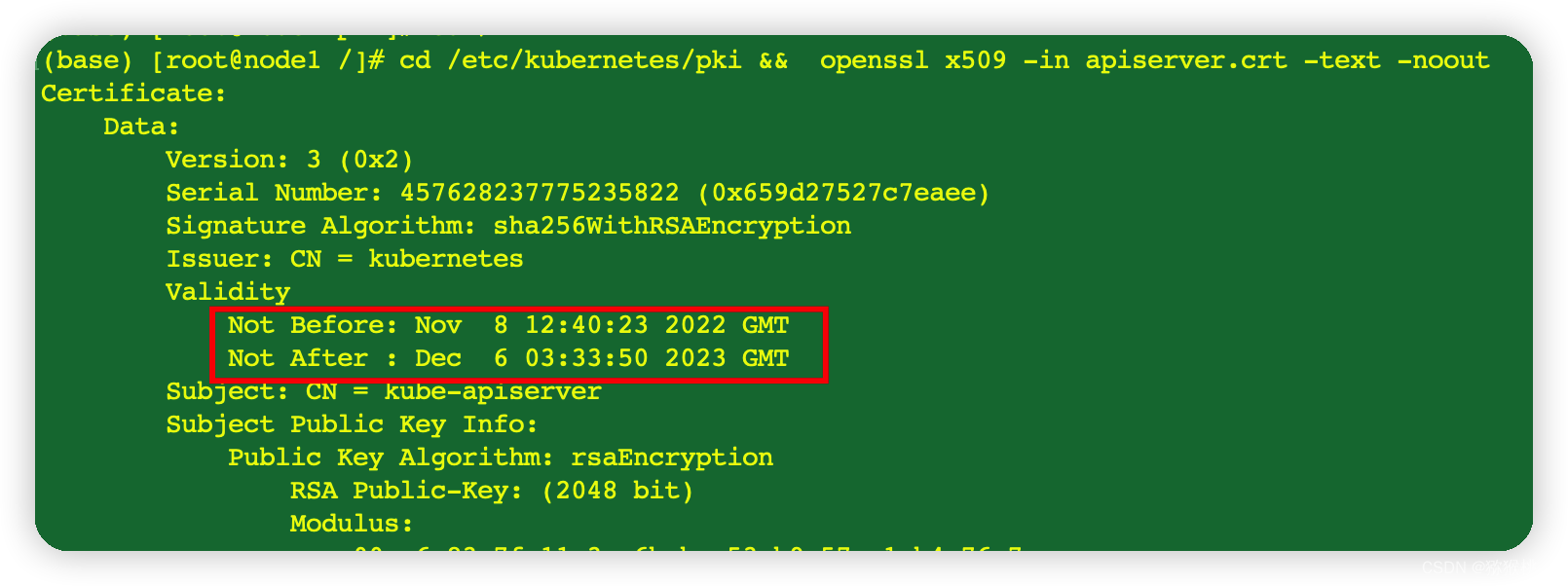 K8s修改api-server证书为10年_apiserver 客户端证书过期-CSDN博客