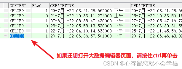 Plsql Develop配置外部应用打开blob类型字段需要使用新应用以打开此blob链接 Csdn博客