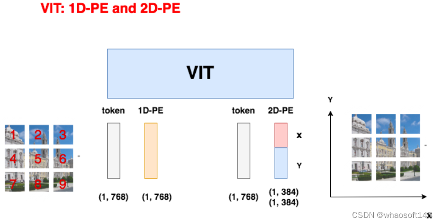 VIT~~6_vit模型的输入可以是文本吗-CSDN博客