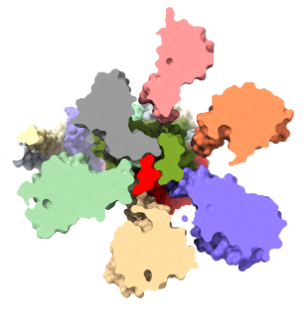 ChimeraX cryoEM 可视化教程：细菌ATP合酶_chimera x 展示侧链信息-CSDN博客