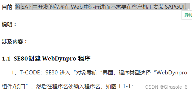 SAP WebDynpro 介绍和实例-CSDN博客