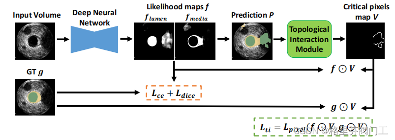 精读Learning Topological Interactions for Multi-Class Medical Image Segmentation-CSDN博客