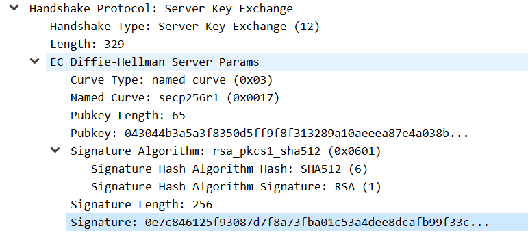 TLS 基础知识 （2）_server key exchange-CSDN博客