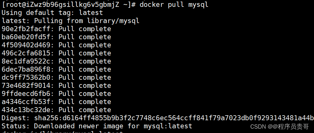 Docker常用命令-CSDN博客