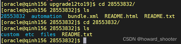 Oracle 12c （12.1.0.2/12.2.0.1）升级 19c（19.3.0.0）_oracle12c升级到19c-CSDN博客