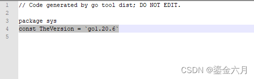 Golang go语言SDK安装与环境配置_go sdk-CSDN博客
