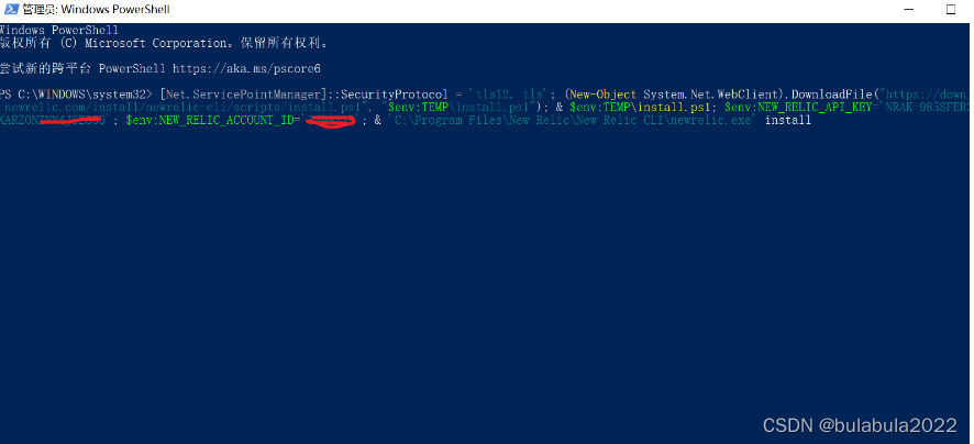 【NewRelic】 安装 Guided install_new relic 安装win-CSDN博客