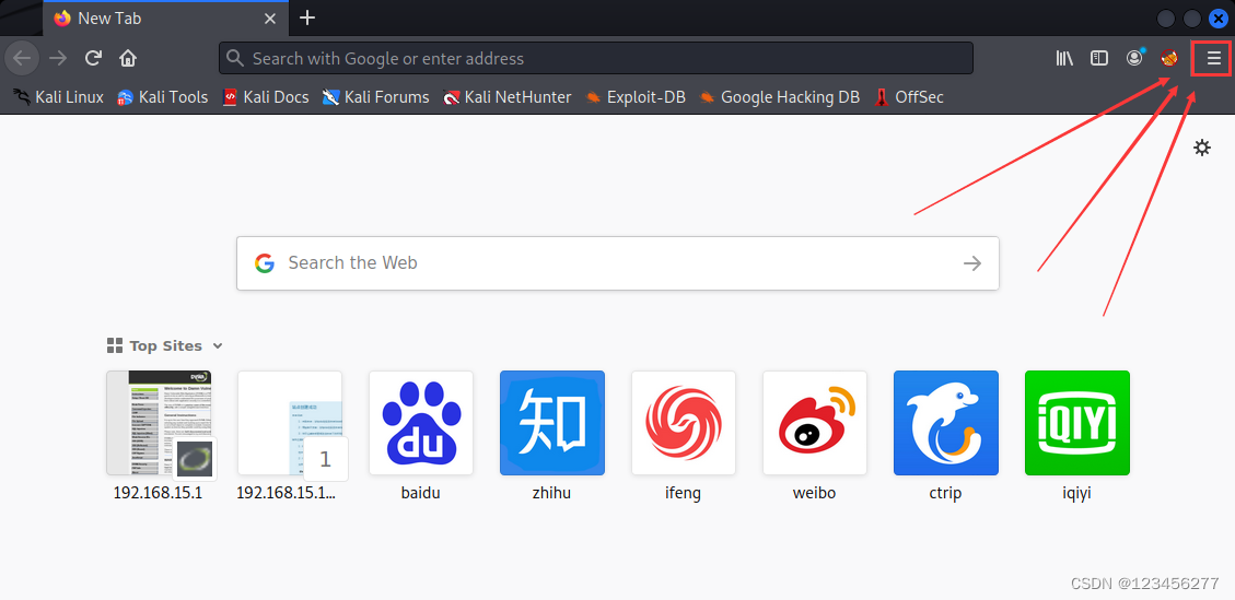 kali Linux自带firefox ESR设置代理_kali火狐浏览器设置代理-CSDN博客