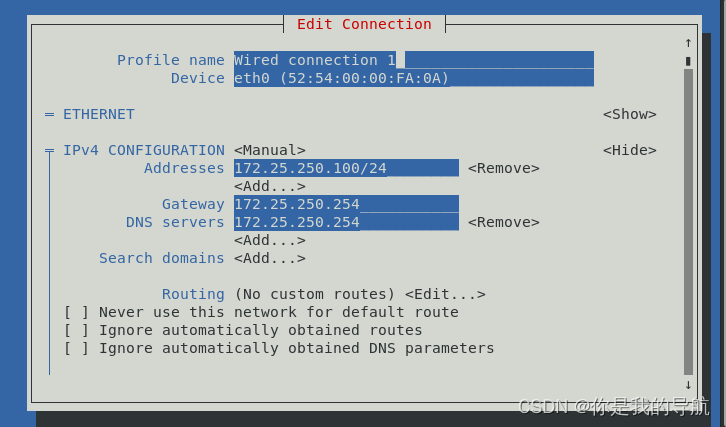 Linux网络配置方法nmtui_nmtui配置ip-CSDN博客