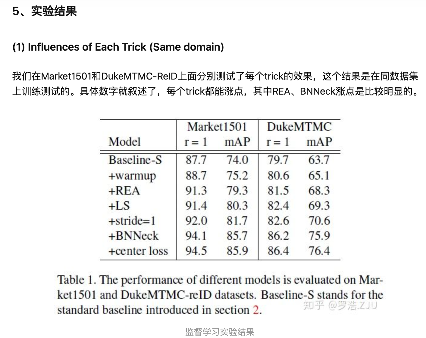 一个更加强力的ReID Baseline-CSDN博客