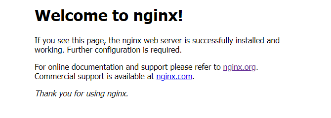 Nginx配置与踩坑_nginx: the configuration file-CSDN博客