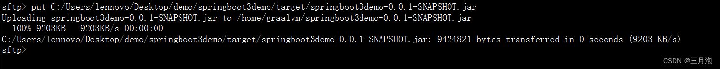 Linux 安装 Native Image,编译springboot3工程linux Native Image Csdn博客