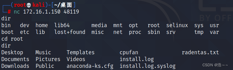Linux操作系统渗透测试通过本地pc中渗透测试平台kali对服务器场linux进行web扫描渗透测试使用工具nikto Csdn博客