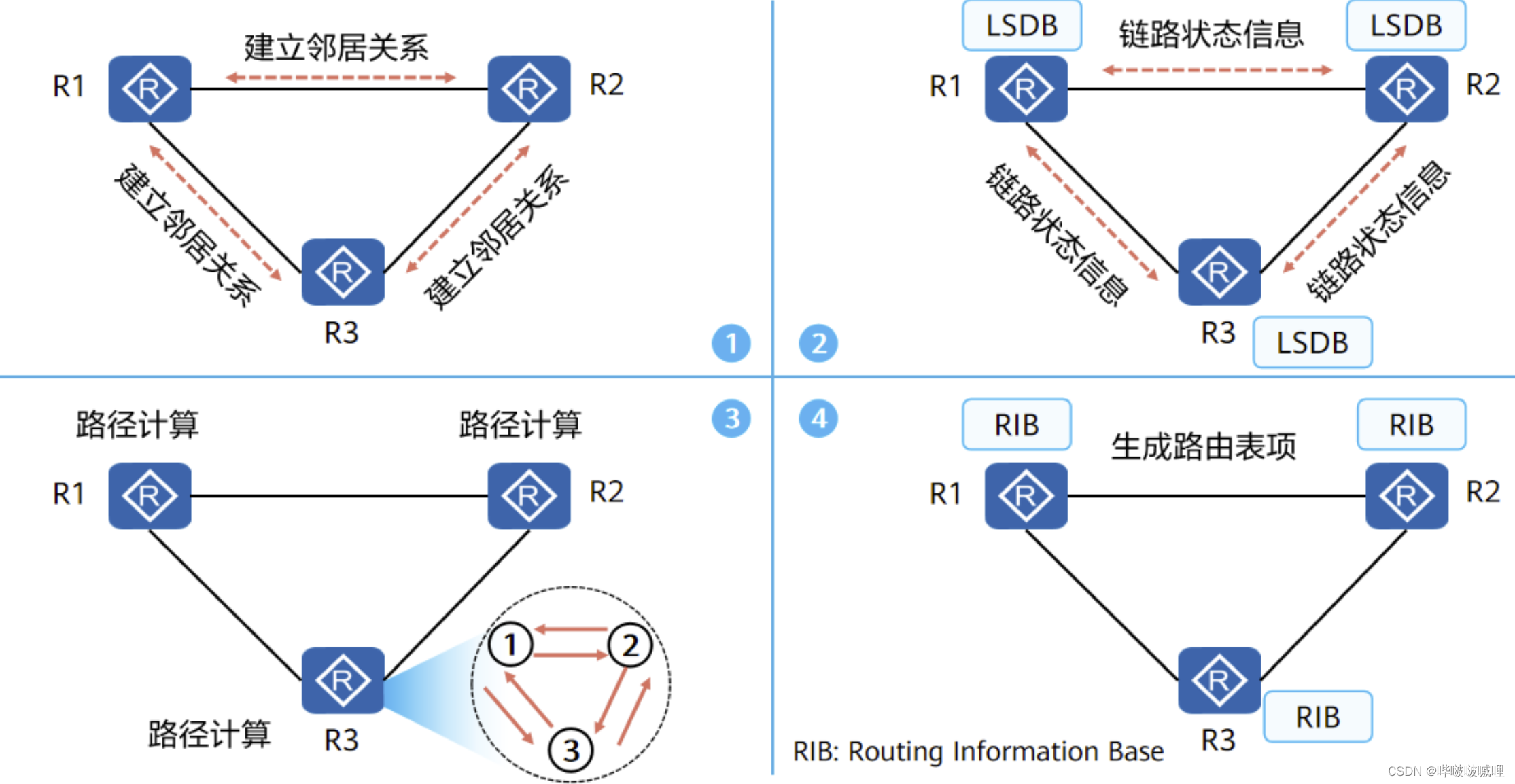 动态路由协议 ： RIP、OSPF协议_动态路由协议:rip,ospf-CSDN博客