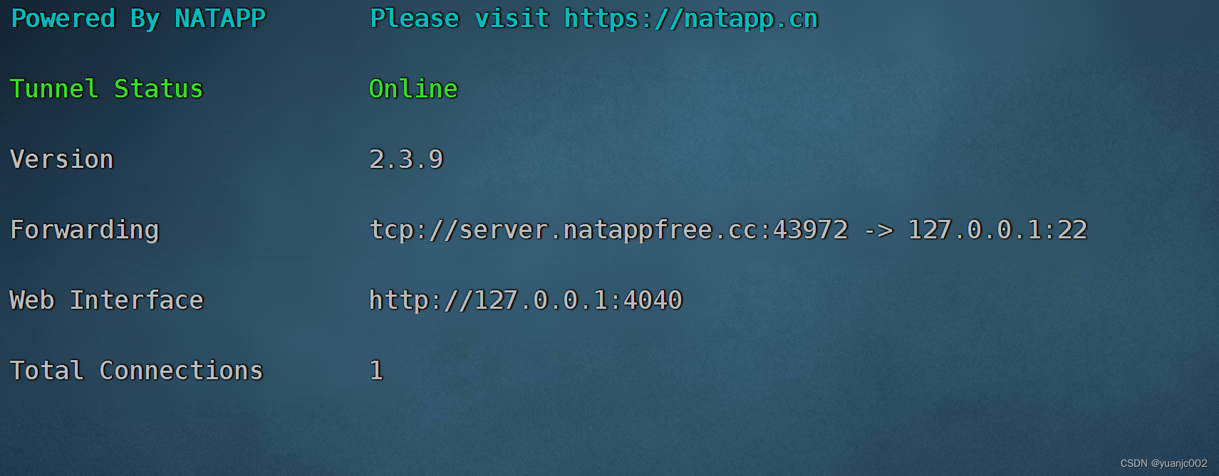 natapp实现ssh内网穿透_natapp免费隧道怎么选协议-CSDN博客