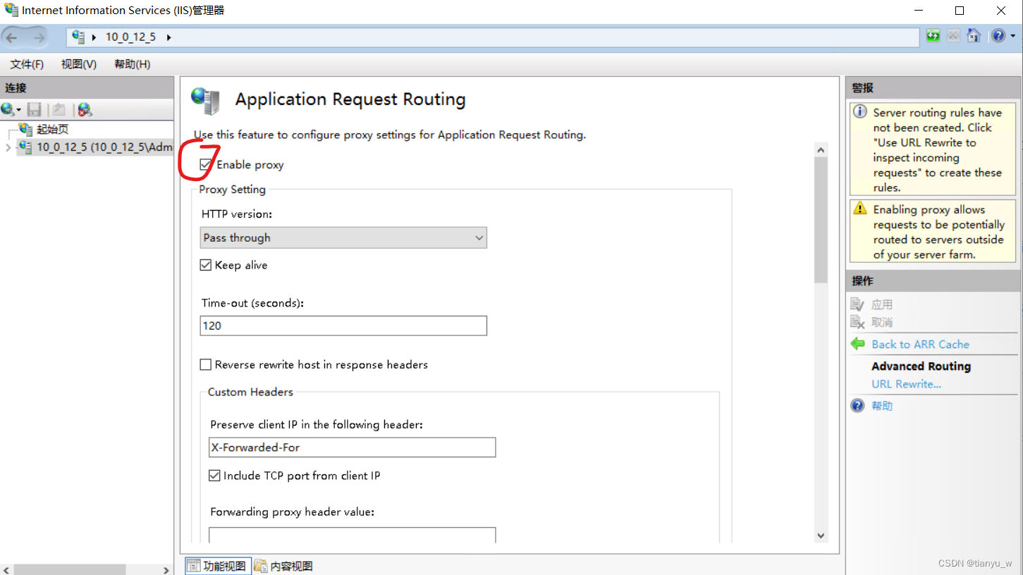 如何使用iis进行反向代理(使用iis进行端口转发)_iis 反向代理-CSDN博客