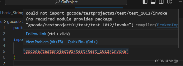 go import 报错could not import最简单解决办法（2023）-CSDN博客