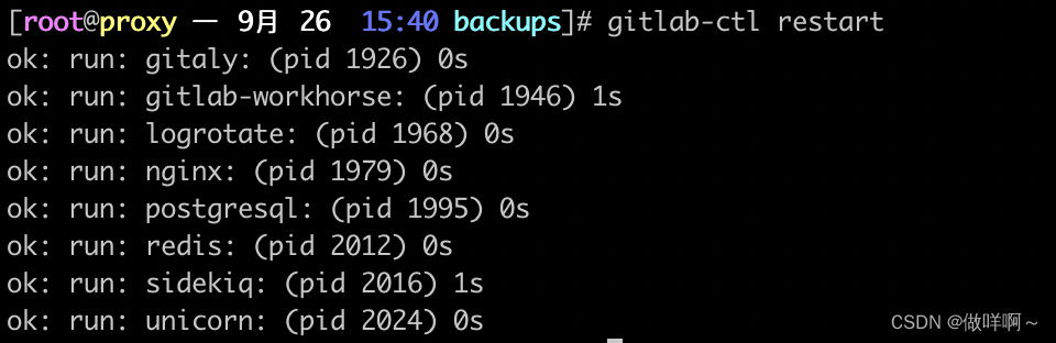 10gitlab的备份、恢复、迁移、升级gitlab备份、迁移和恢复pdf Csdn博客