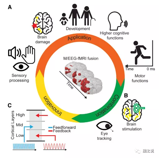 EEG/MEG-fMRI融合初识:在空间和时间上解析人脑反应-CSDN博客