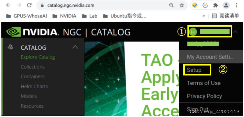 [我参加NVIDIA Sky Hackathon]（环境配置）_如何获取英伟达ngccli的api-CSDN博客