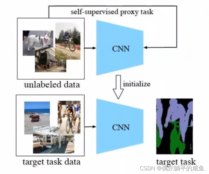 自监督self Supervied 学习笔记self Supversied Model Csdn博客