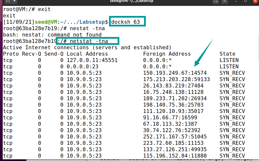 TCP/IP Attack Lab-CSDN博客