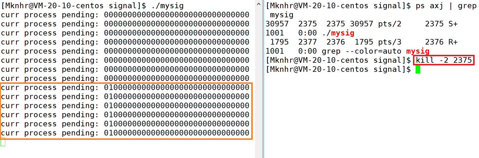 Linux进程信号_linux 程序捕获kill -9 信号-CSDN博客
