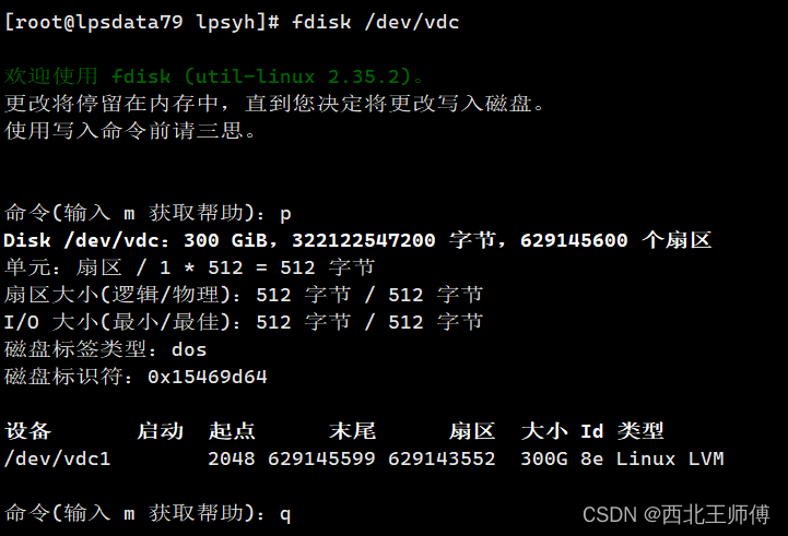 linux系统扩展磁盘根目录大小（centos、麒麟服务器）_klas-root-CSDN博客