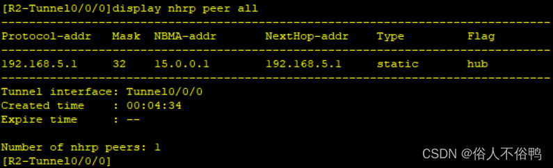 华为eNSP关于HDLC、PPP、GRE、MGRE、RIP的综合实验_ensp综合实验题目-CSDN博客