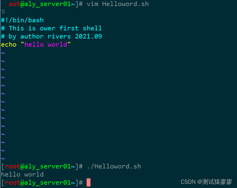 Linux Shell脚本入门到实战详解_linux中,if [ -d $dir]是什么意思-CSDN博客