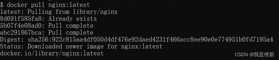 Docker 安装 Nginxdocker查看nginx版本 Csdn博客