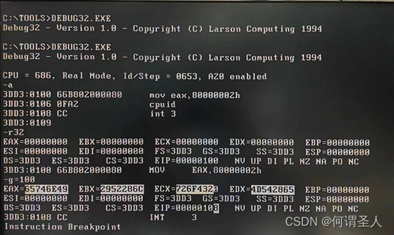 CPUID学习-CSDN博客
