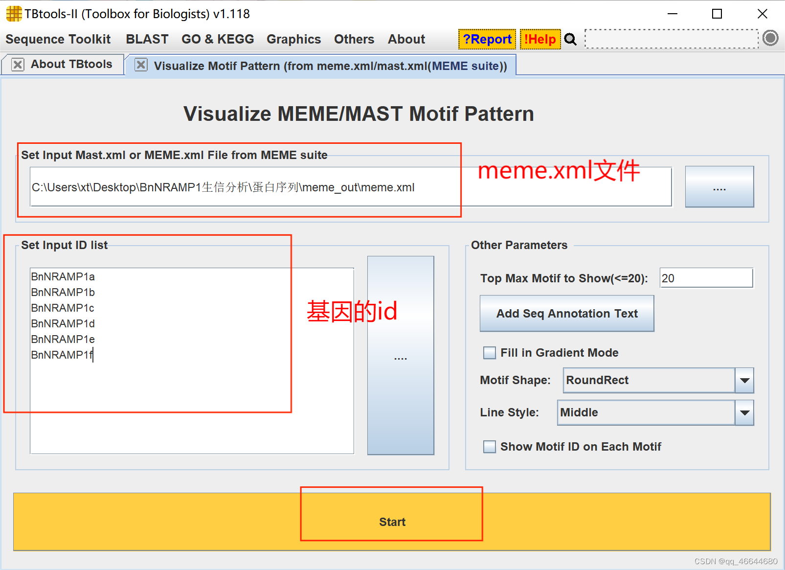 使用TBtools绘制motif_tbtools分析motif-CSDN博客