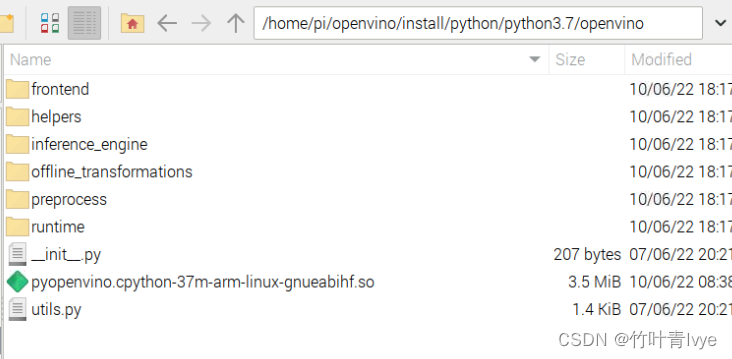 树莓派4B上配置OpenVINO_树莓派 openvino-CSDN博客