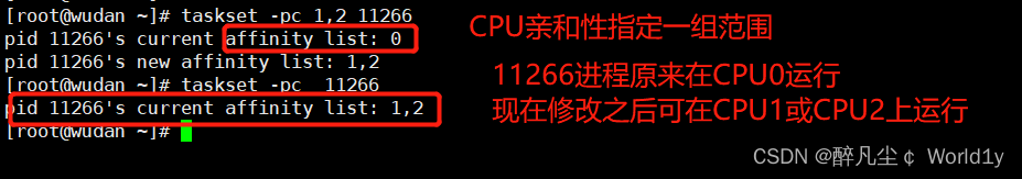 taskset 查询或设置进程绑定CPU（亲和性）_taskset f-CSDN博客