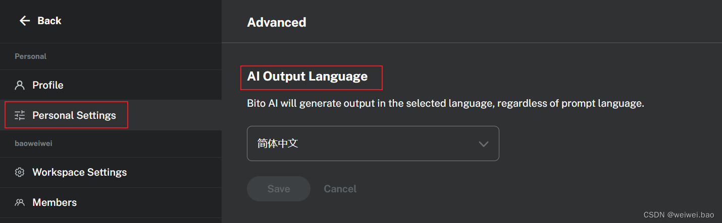 Bito——GPT-4模型设置中文输出_bito插件设置中文-CSDN博客