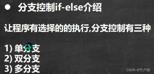 【韩顺平 零基础30天学会java】04 控制结构（自用）while流程图和二分支流程图 Csdn博客