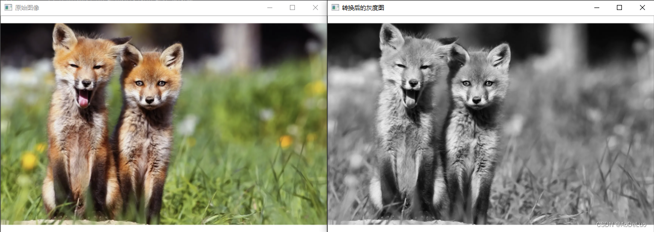 opencv常用图像处理函数详解(一)_note: in passing argument 2 of 鈥榖ool cv::imwrite(c-CSDN博客
