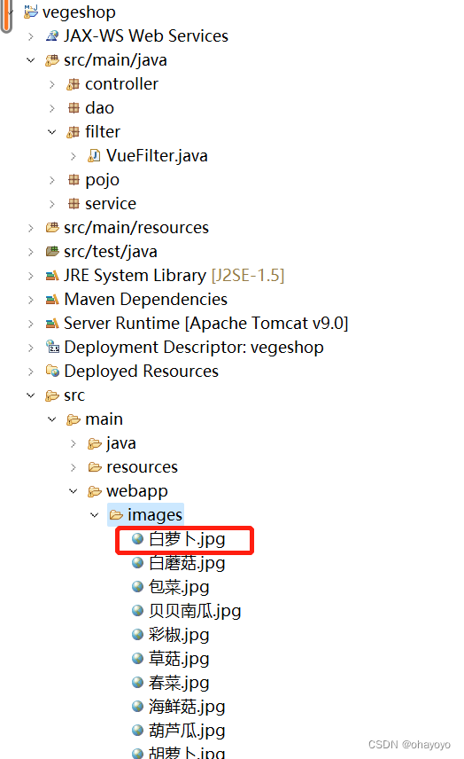 Ssm项目后台图片名为中文导致前端无法显示图片（编码问题）图片文件名称是中文 前端引入 Csdn博客
