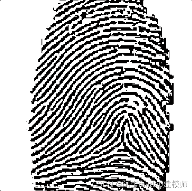 【老生谈算法】基于matlab的指纹处理和识别算法详解及程序源码——指纹识别算法开源指纹算法 Csdn博客