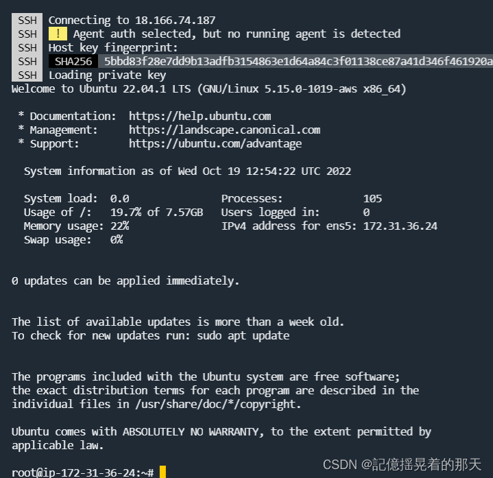 AWS服务器SSH登录不上，用Windows的CMD通过 公有 DNS 完成登录_windterm+私钥文件 aws-CSDN博客