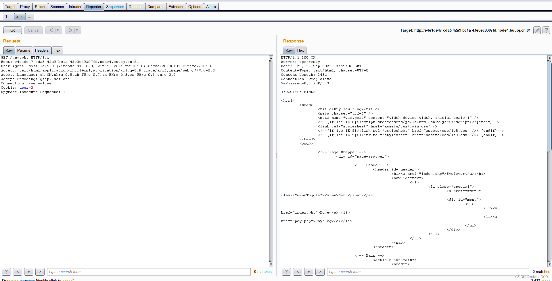 buuctf-web-[极客大挑战 2019]BuyFlag1_flag 1 buuctf-CSDN博客