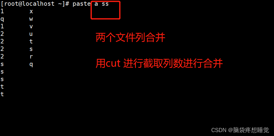 Shell之正则表达式(sort、uniq、tr、cut、split、eval命令)shell Split 换行 Csdn博客