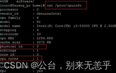 关于CPU查看_查询cpu命令-CSDN博客